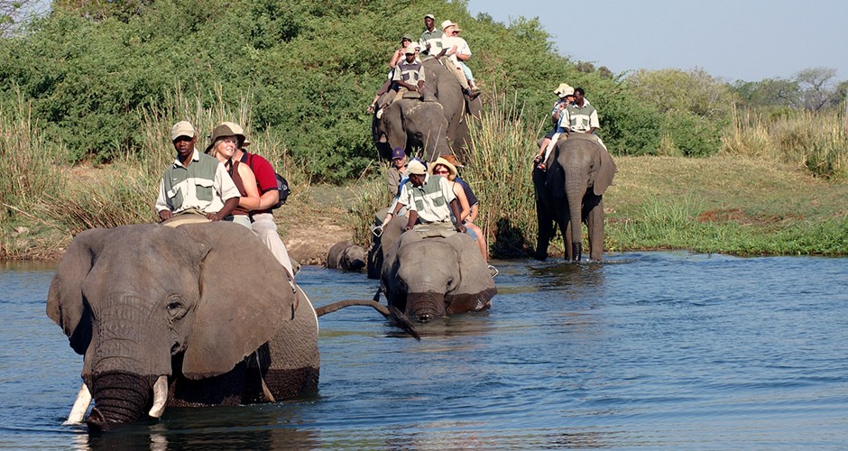 Elephant Back Safari - Livingstone - Victoria Falls Tours & Transfers ...